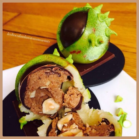 Bogue pralinée, Patrick ROGER, Paris – Le Chocolat dans tous nos états