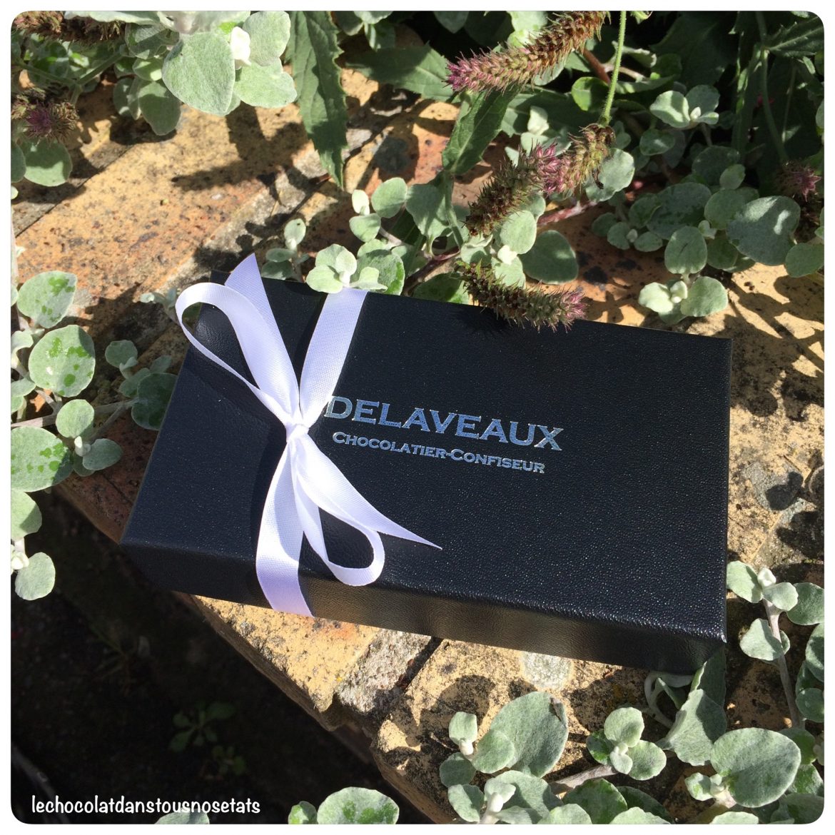Rencontre avec Ivan DELAVEAUX, chocolatier-confiseur, Lamorlaye – Le ...